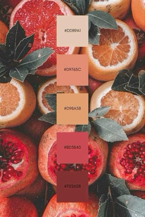Pin By Sevolita Pins On Color Palette Color Schemes Color Combos
