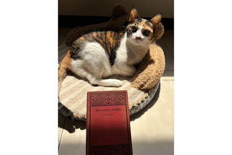 馮睎乾：由字及興的好處｜大紀元時報 香港｜獨立敢言的良心媒體