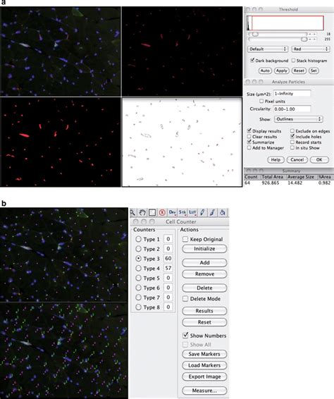 Scheme Showing Screenshots Of Different Imagej Applications For