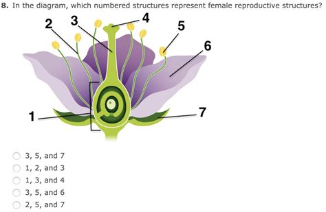 [solved] in the diagram which numbered structures represent female