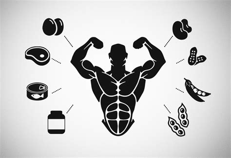 Protein Sources And Amounts For Muscle Building