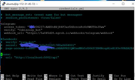 rasa problem connecting to telegram rasa open source 2024 12 09