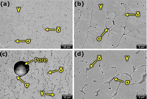 Sem Of Waam Stainless Steel Er316l After Electro Etching In 40 Naoh