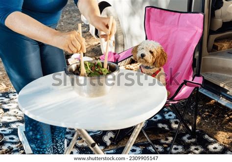 62 Resultados De Imágenes Fotos De Stock E Ilustraciones Libres De