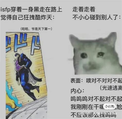 I人好玩的网络梗图 人格森林 Mbti16型人格数据库