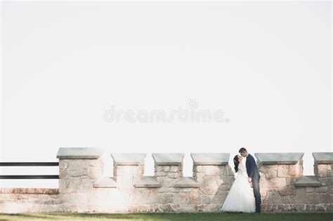 Conto De Fadas Romântico Casal Recém casado Abraçando se E Beijando se Em árvores Do Parque No