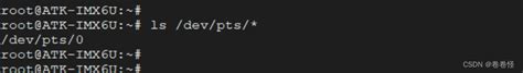 Linux Linux Csdn