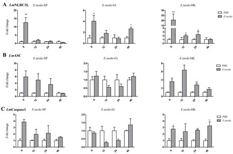 Fishes Free Full Text Molecular Characterization And Expression