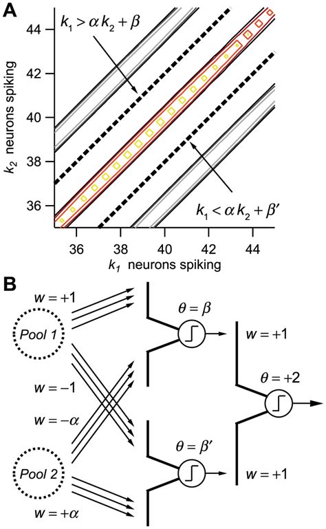 Illustration Of A Proposed Decoding Mechanism And Circuit A The Download Scientific Diagram