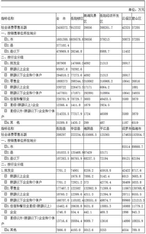 2006年岳阳市社会消费品总额