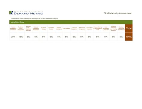 crm maturity assessment pdf