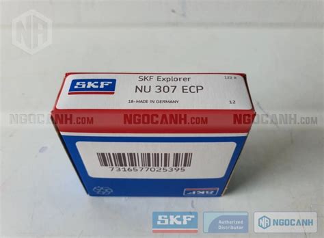 Vòng bi SKF NU ECP chính hãng Đại lý ủy quyền vòng bi SKF