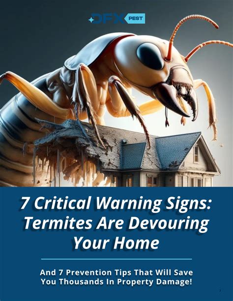 7 Critical Warning Signs Termites Are Devouring Your Home Dfx
