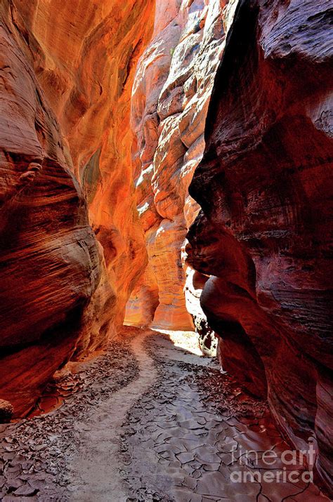 Buckskin Gulch Slot Canyon Photograph By Marty Fancy Pixels