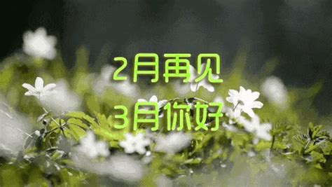 三月你好二月再見文案，適合朋友圈發的唯美祝福句子配圖片 每日頭條