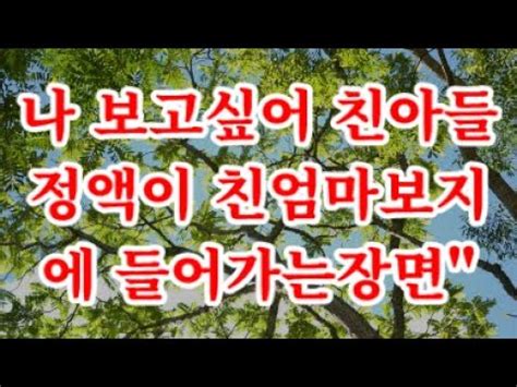 감동사연 나 보고싶어 친아들 정액이 친엄마보지에 들어가는장면 사이다사연 시어머니 반전사연 YouTube