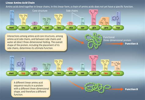 Amino Acid Structure Amino Acids Biochemistry Medbullets Step 1