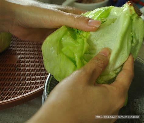 양상추 양배추 차이 도대체 뭔지요 네이버 블로그