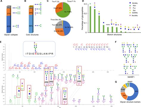 Largescale Profiling Of Intact Glycopeptides In ICC And HCC Samples
