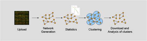 identification of functional modules from gene expression data in the