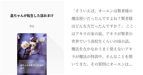 まほやく男女cp まほやくnl 晶ちゃんが転生した話おまけ 花丘の小説 Pixiv