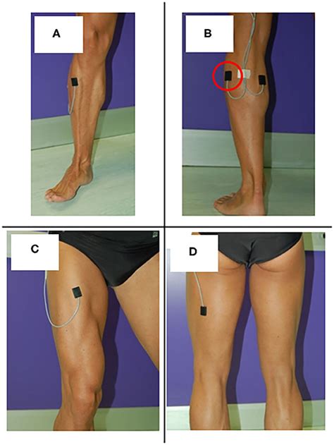 Frontiers Surface Electromyography Applied To Gait Analysis How To