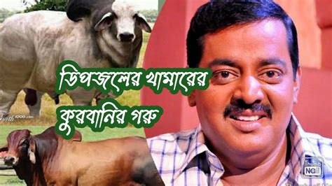চলুন দেখে আসি ডিপজলের খামারের কুরবানির গরু ২০২৩ Youtube
