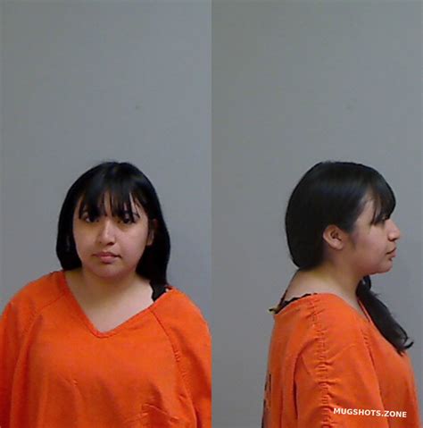 Monroy Melissa 11 15 2024 Hidalgo County Mugshots Zone