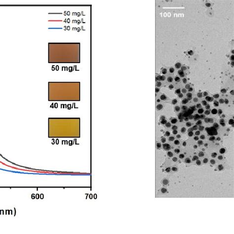 UV Vis Spectra Of The Three Concentration Variations Of AgNPs A And