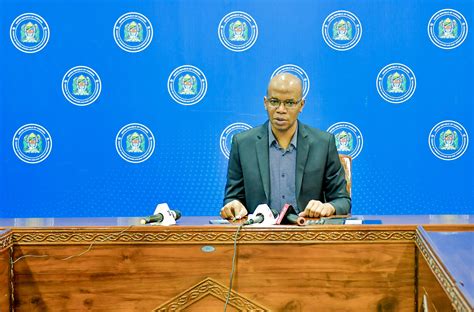 RAIS WA MSUMBIJI KUKUTANA NA RAIS SAMIA JIJINI DAR ES SALAAM Ministry