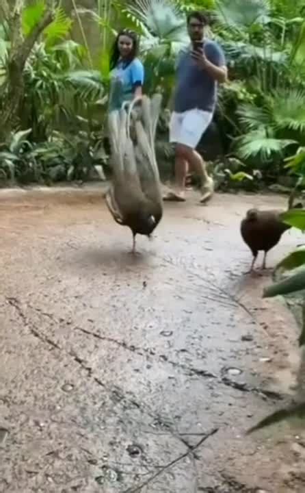 When You Want Money For Your Start Up Your Company Profile Must Be David Engelbrecht