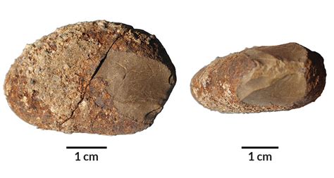 New Evidence From Monte Verde