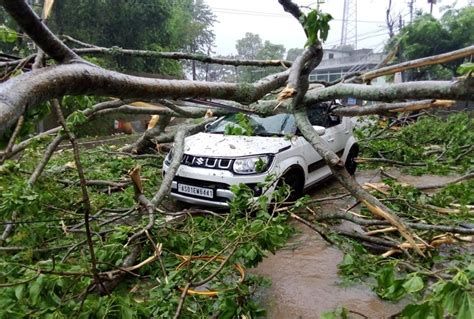 Cyclone Remal Impact In Assam Student Among Others Killed In Heavy