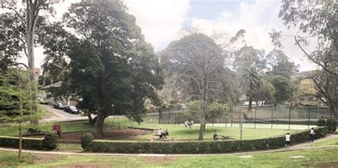 Robert Pymble Park Have A Say On New Design North Shore Mums