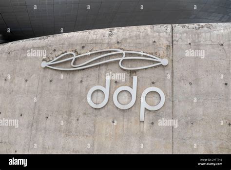 Ddp Logo Photography