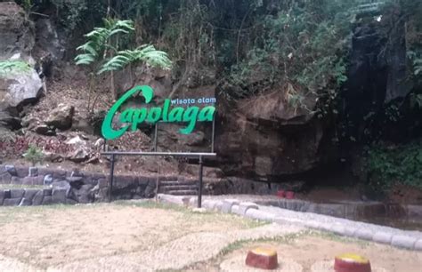 Menyelami Keindahan Alam Di Curug Capolaga Taman Wisata Alam Subang