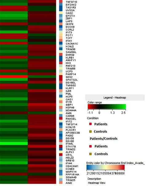 Heat Map Of Atherosclerosis Related Genes According To Functional