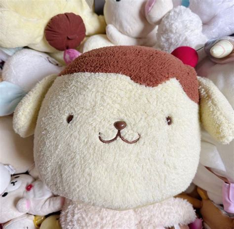 Pompompurin Pudding Plush Hobbies And Toys Toys And Games On Carousell