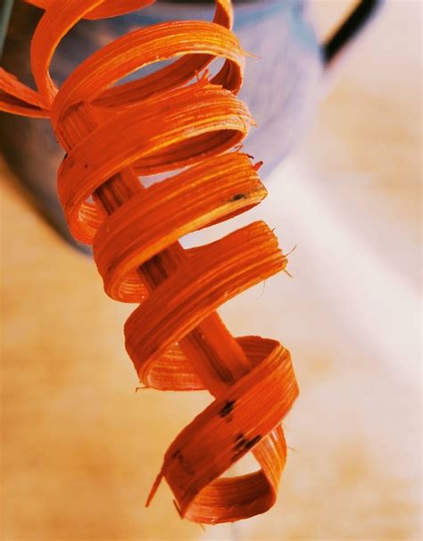 Structure Spiral Free Photo On Pixabay Pixabay