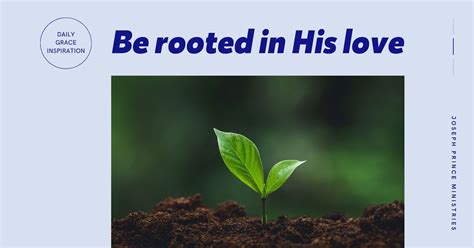 Daily Grace Inspiration Be Rooted In His Love Joseph Prince Ministries