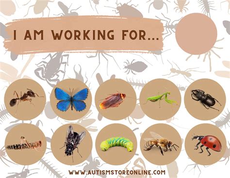 Token Board Token System Reinforcement Insects Token Board Token Economy Special Education