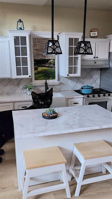 Cure Your Monday Blues With These 25 Adorable Photos Know Your Meme