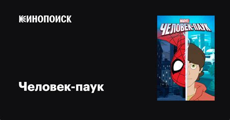 Человек-паук (сериал, 1-3 сезоны, все серии), 2017-2020 — описание ...