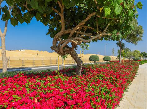 Oberoi Resort Extension And Buffer Zone Wide Range Of Services That Cater To All Your