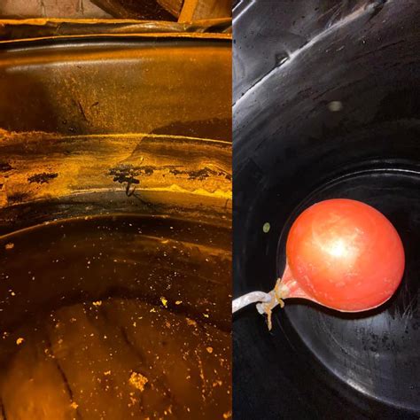 The Top 4 Causes Of Sediment Build Up In A Water Tank