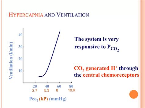 Control Of Respiration Pptx