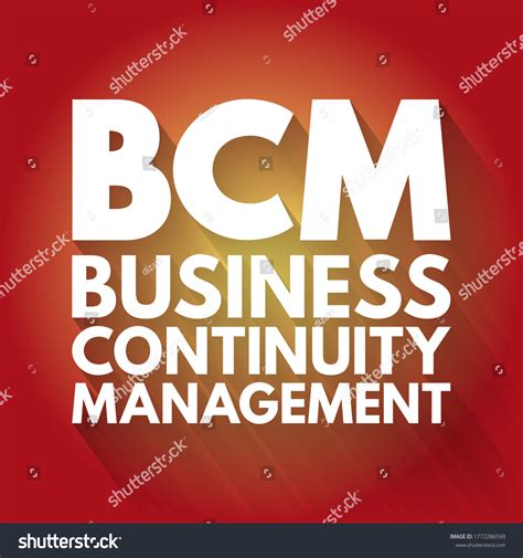 Bcm Business Continuity Management Framework Identifying Stock Vector Royalty Free 1772286599
