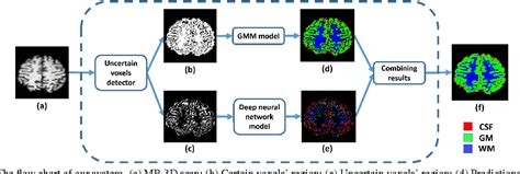 figure 1 from 3d brain segmentation using deep neural network and