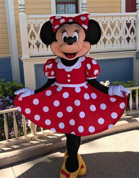 Pin Su Walt Disney World Park