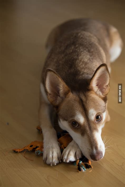 Just Got My New Lighting Setup Until I Find A Real Model I Suppose This One Will Do 9GAG